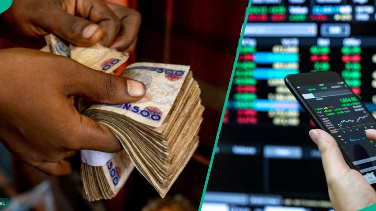 Find out more as banking, insurance stocks power NGX to weekly gain