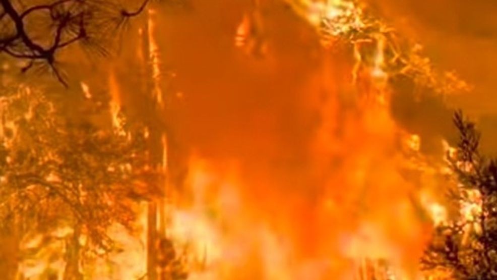 Trout Fire continues to grow in New Mexico's Gila National Forest