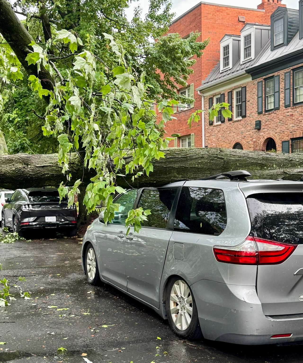 50,000+ Lose Power In Maryland As Storms Pound Region, BGE Says