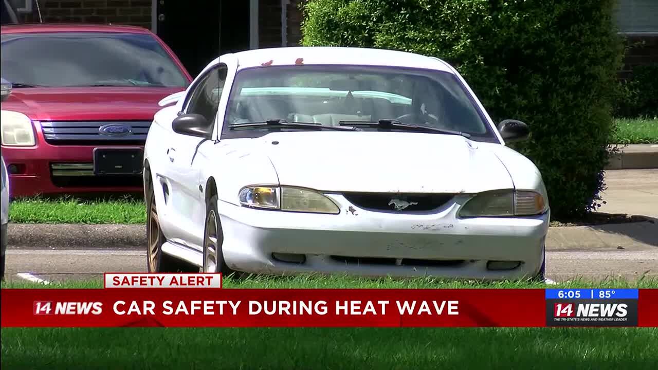 Safety tips for hot cars during heat wave
