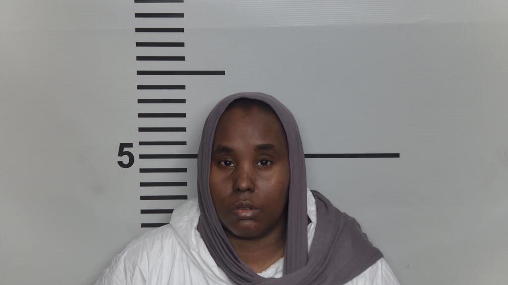 6-year-old girl in critical condition after alleged hammer attack by mother
