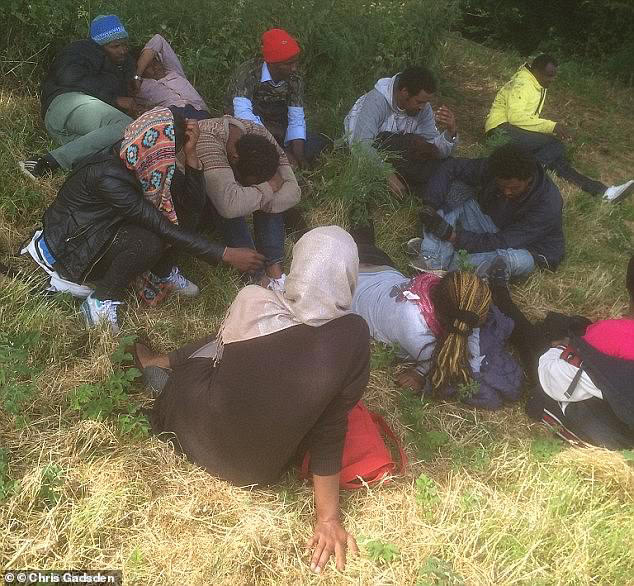 Father dubbed the Farminator for rounding up illegal migrants dealt ...