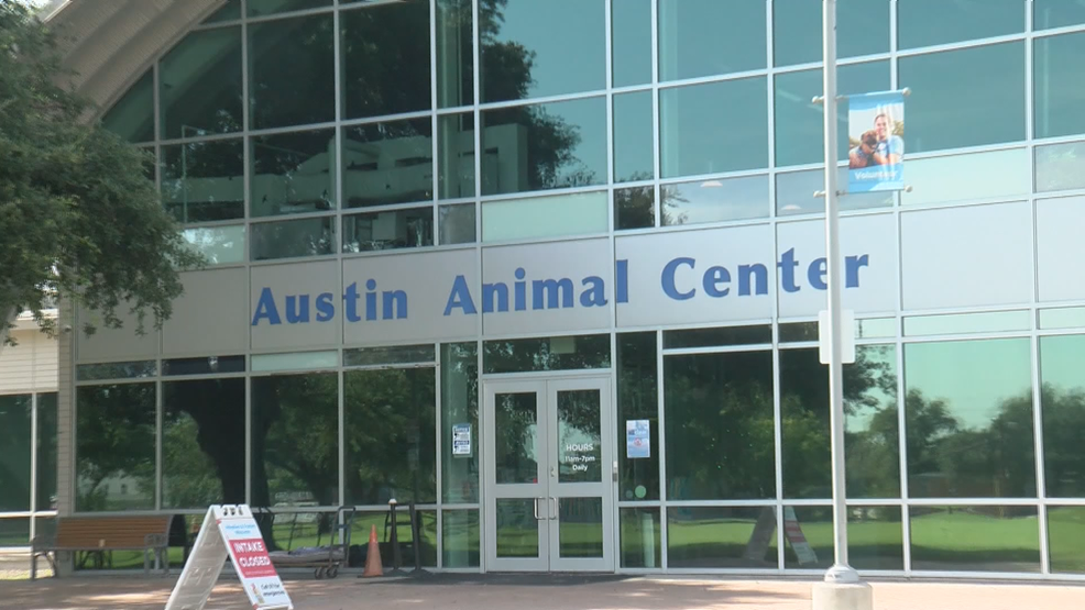 Austin Animal Center to waive adoption fees during Clear the Shelter ...