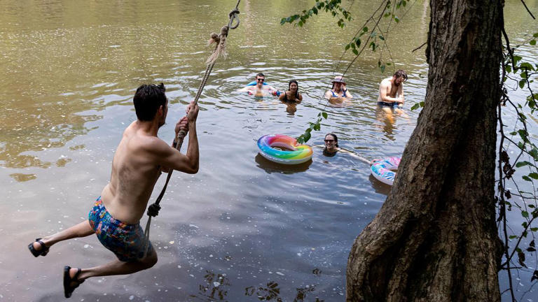 5 dangers to dodge for a safer summer amid NC's natural hazards
