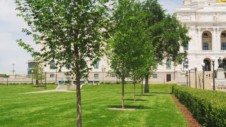 Rep. Hortman's legacy includes greenery and trees around capitol complex
