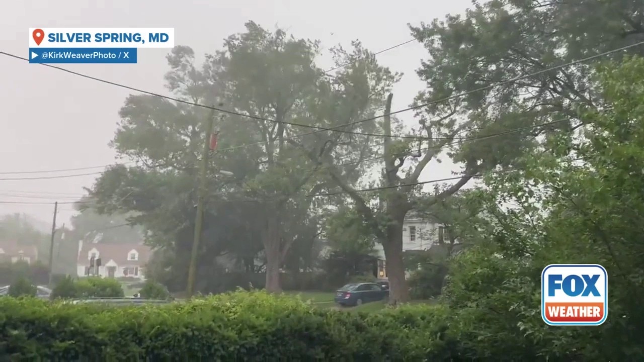 Tree limb falls on power lines as thunderstorms strike DC area