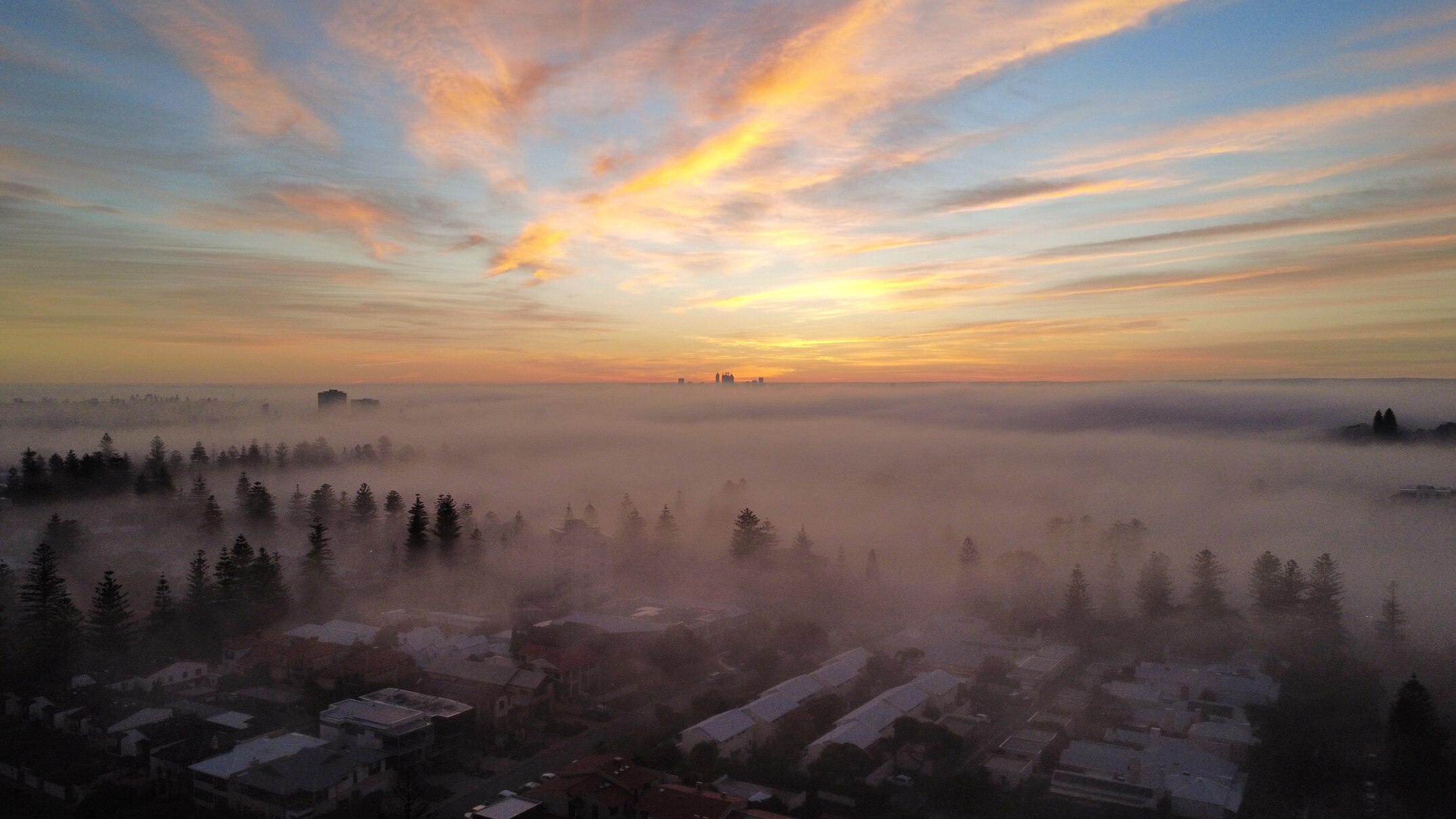 Fog turns Perth into mystical winter wonderland, causing delays at ...