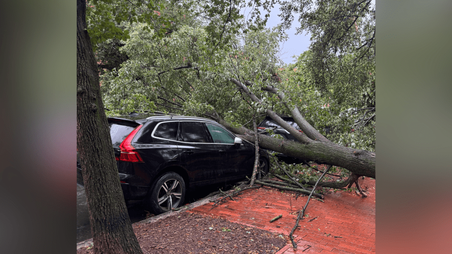 Storms topple trees, power lines in DMV