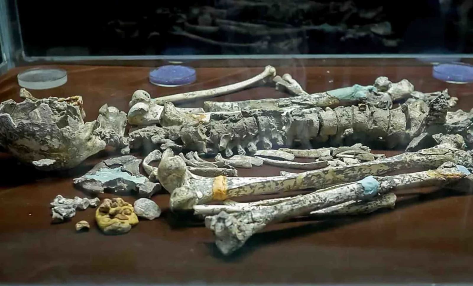 Ancient Skeletons Found – These Are Thousands of Years Older Than the ...