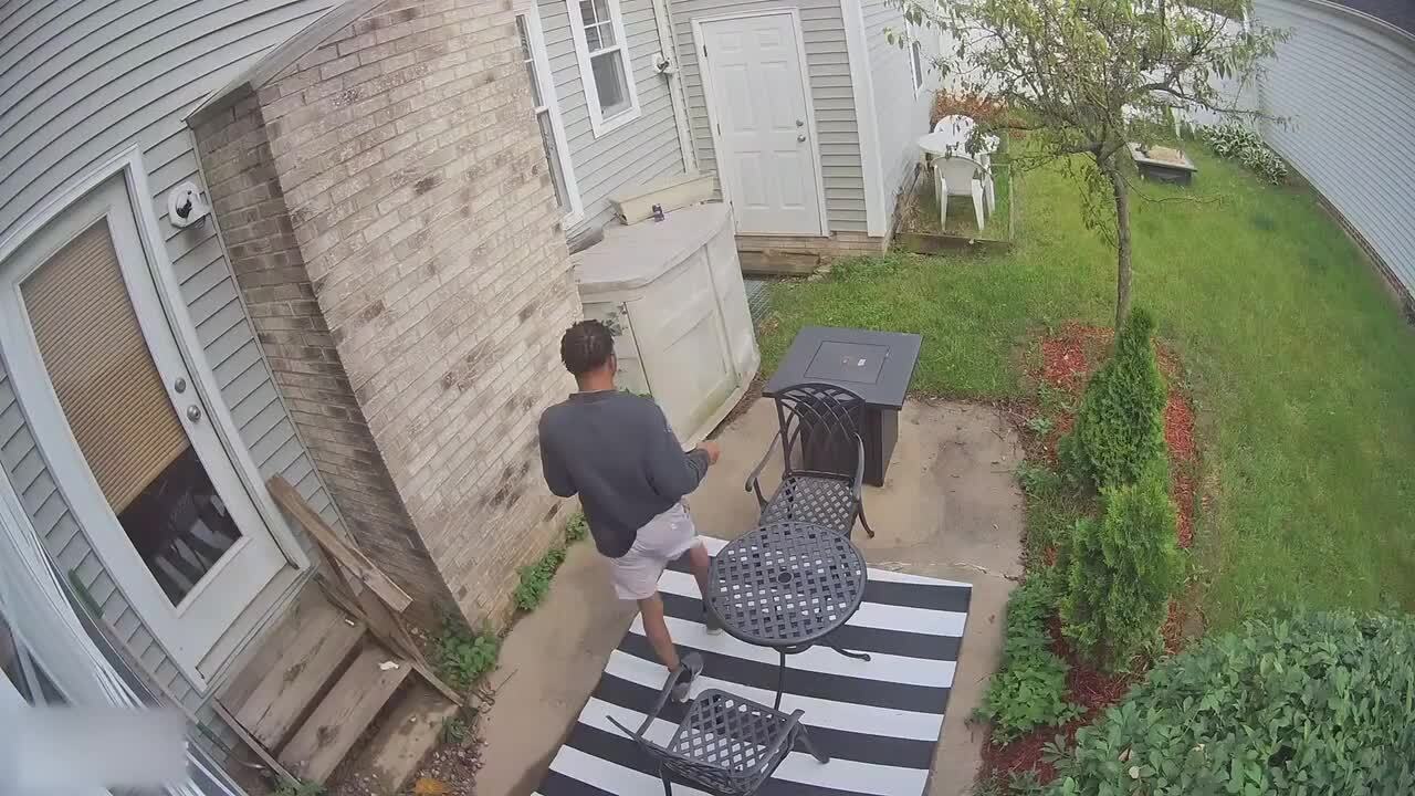 CCTV Footage Shows Man Startled As Groundhog Charges Toward Him