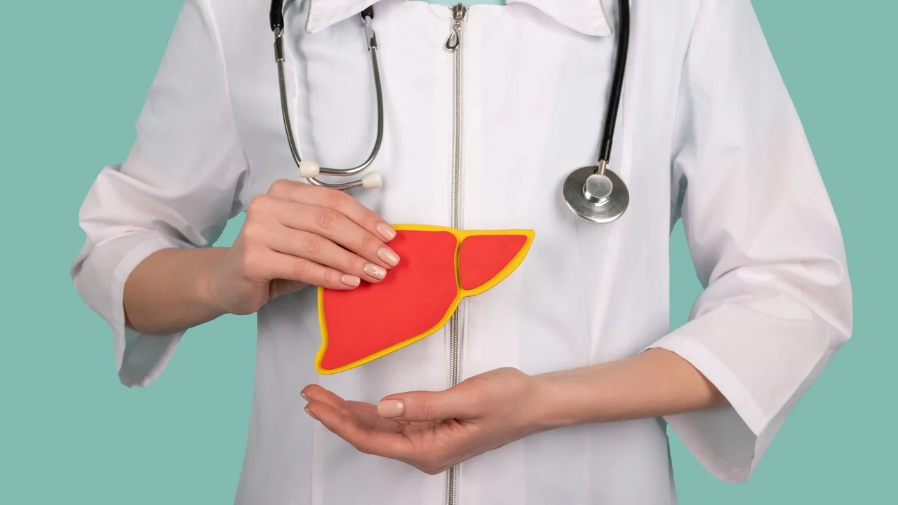 Hígado graso: síntomas, causas, prevención y los avances más recientes
