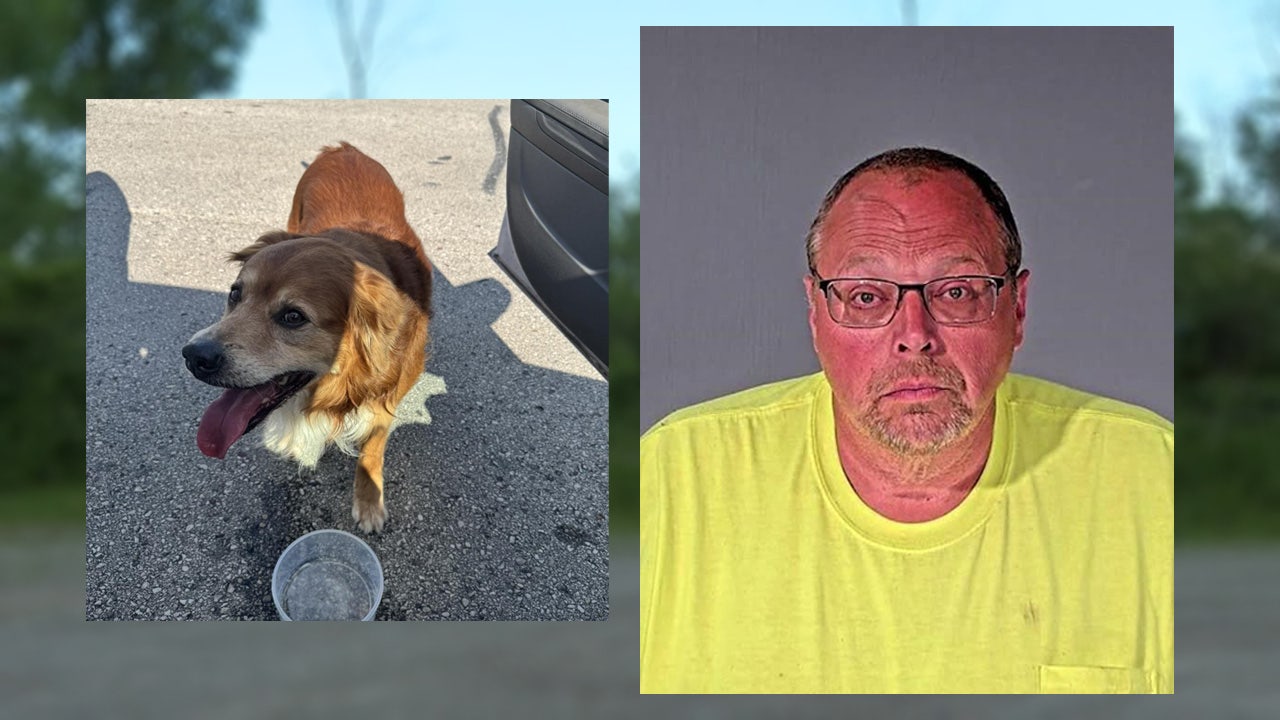 Dodge County dog death; town board chairman arrested