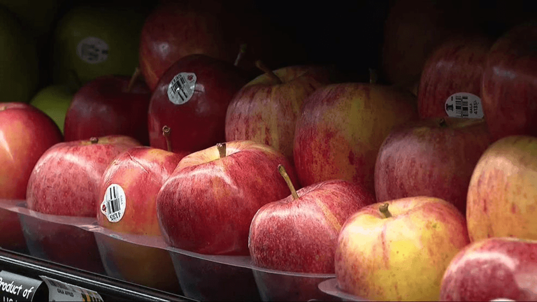 Snap-Ed program faces uncertain future with upcoming vote on ...