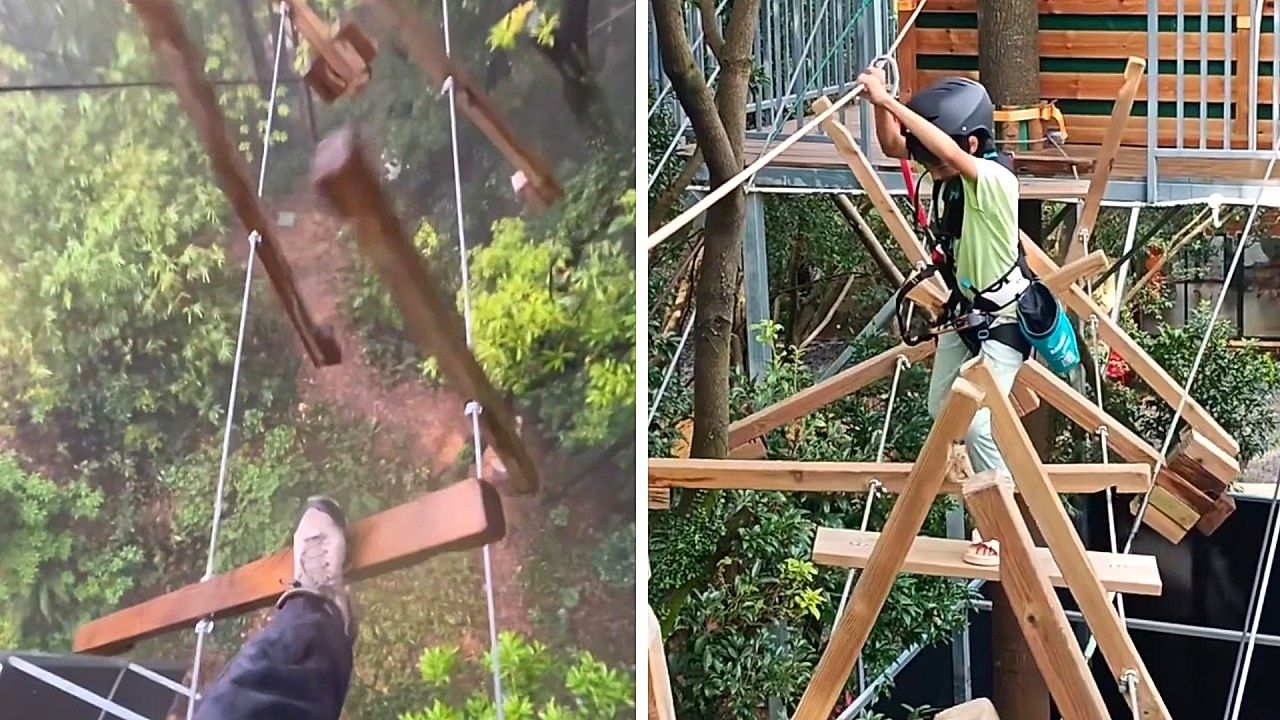 Brave tourist takes on spinning bridge challenge 50ft above forest