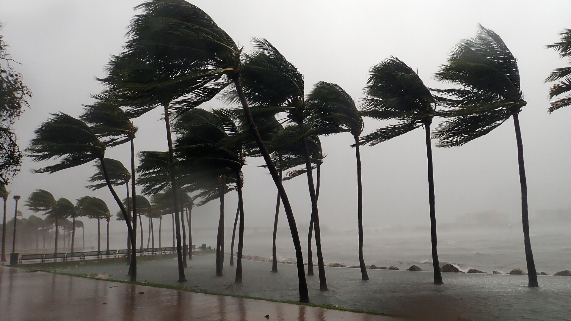 Hurricane Erick in Mexico damages businesses and boats