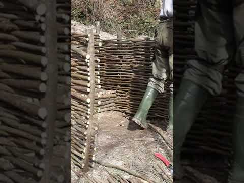 Building a Primitive A-Frame Shelter: Bushcraft Skills & Survival ...