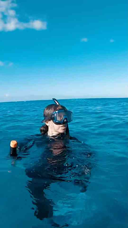 Finally—Some People Help the Turtle Instead of Harassing It!