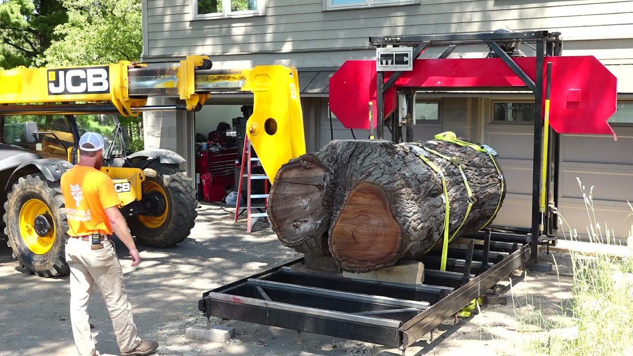 This walnut log splits open