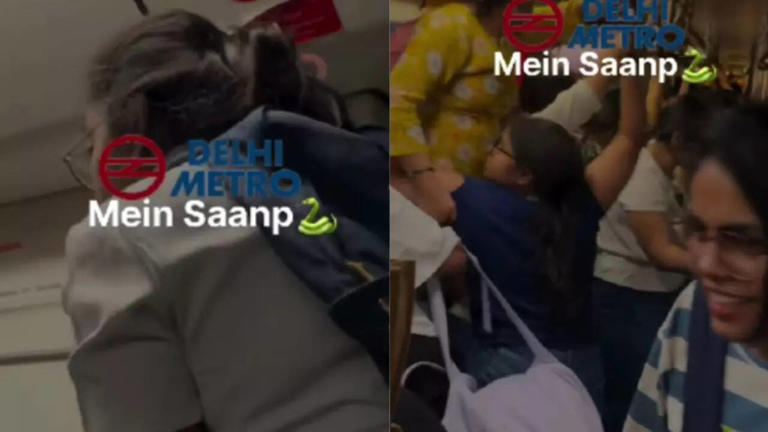 Snake in Delhi Metro? Women scream and jump onto seats as ladies’ coach ...