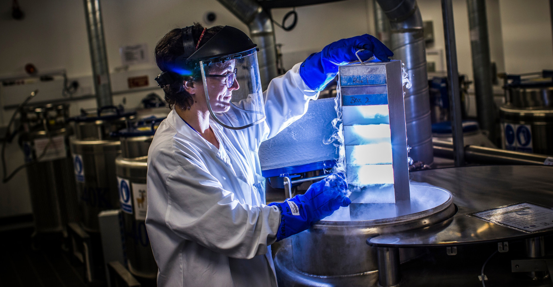 Så kan ett protein stoppa spridningen av cancer