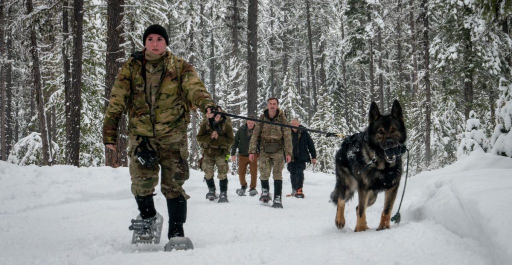 Russia Is Training Anti-Drone Dogs: Sniffing Out Enemy UAVs on the ...
