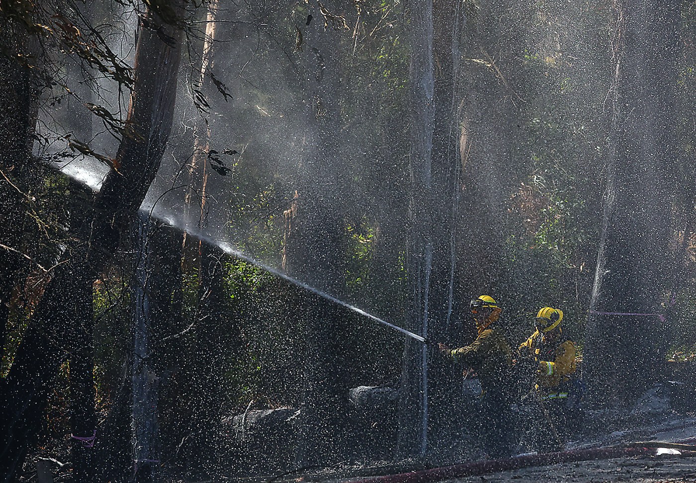 Santa Cruz | Multiagency effort swiftly contains blaze at Natural Bridges