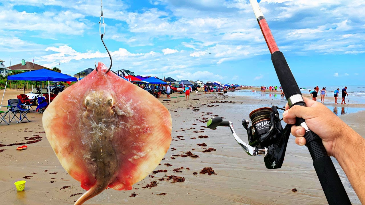 Shark fishing closes world’s busiest beach