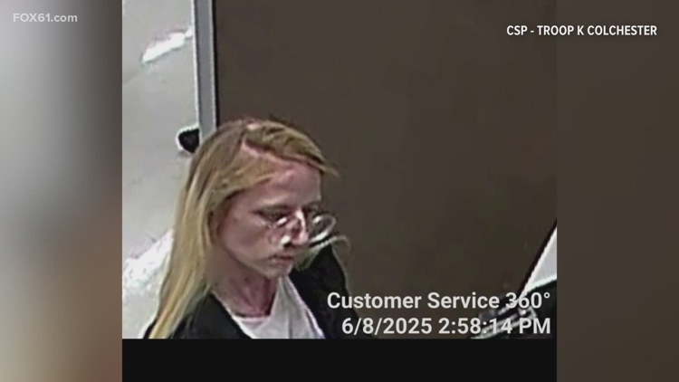State police searching for woman accused of credit card fraud across ...