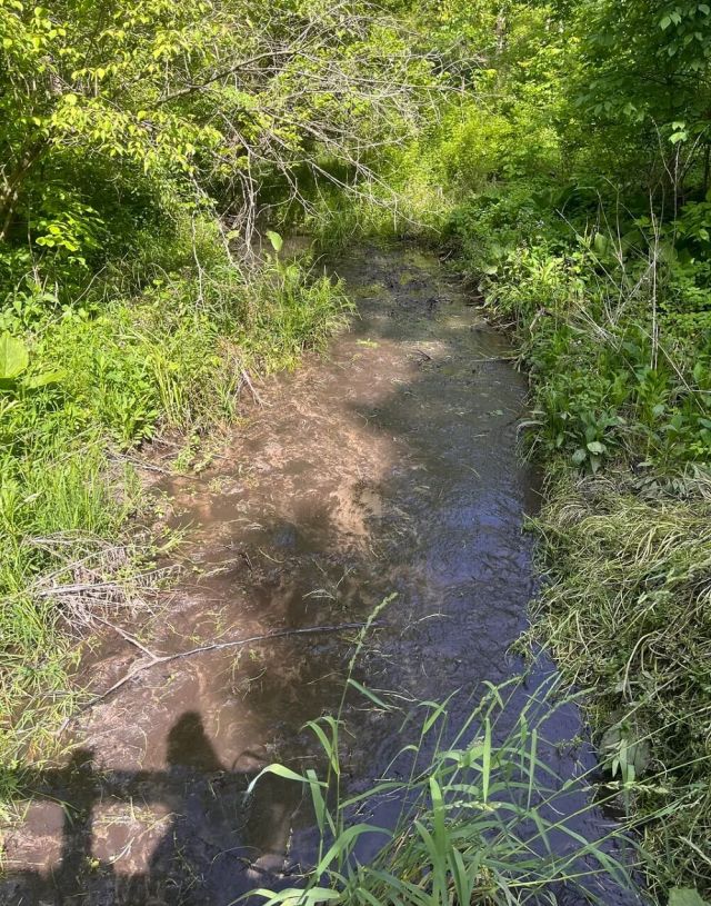 Gardener shares incredible before-and-after photos after ripping out ...