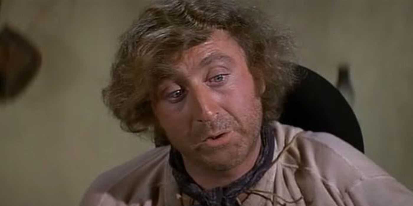 5 Years After Blazing Saddles, Gene Wilder & Harrison Ford Starred in ...