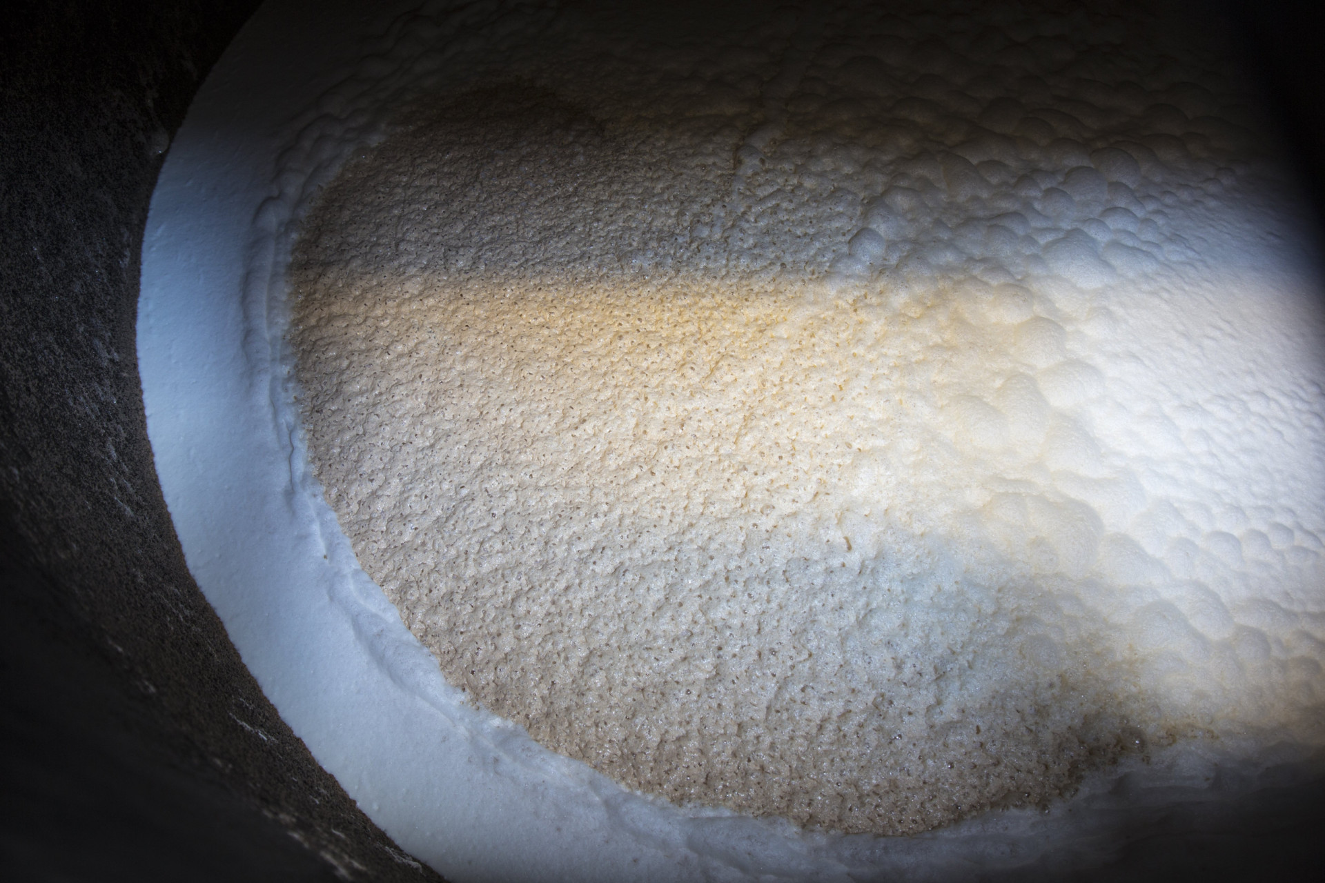 Fermented foods: from tradition to health trend