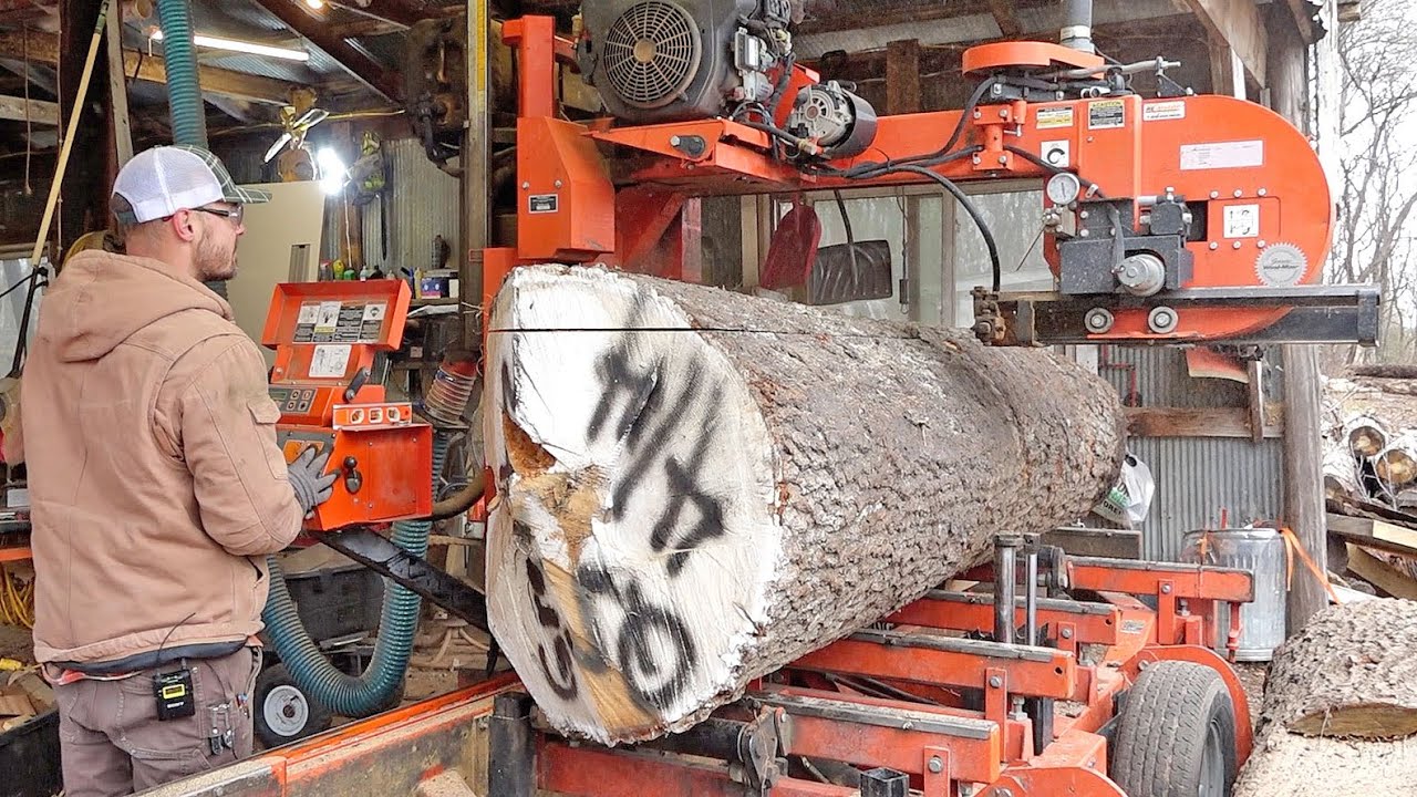 Starting a sawmill business journey