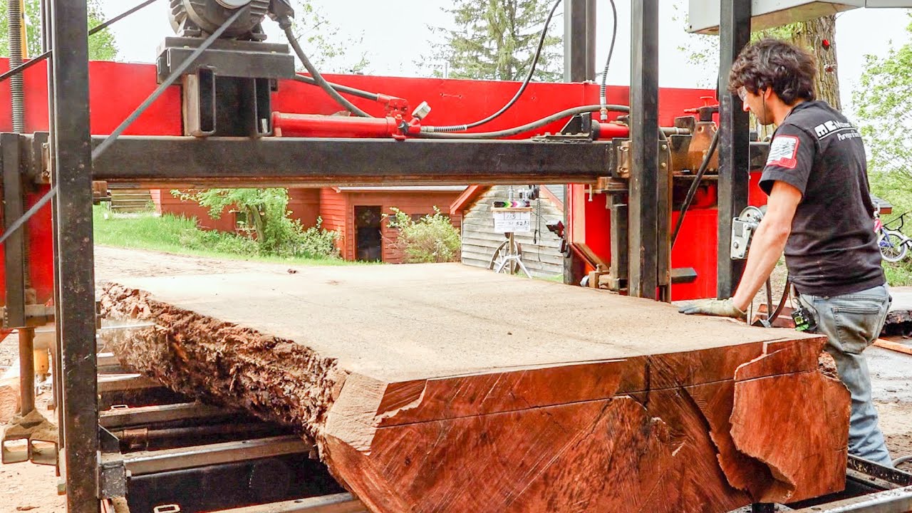 Their Sawmill was too Small for this Walnut Log