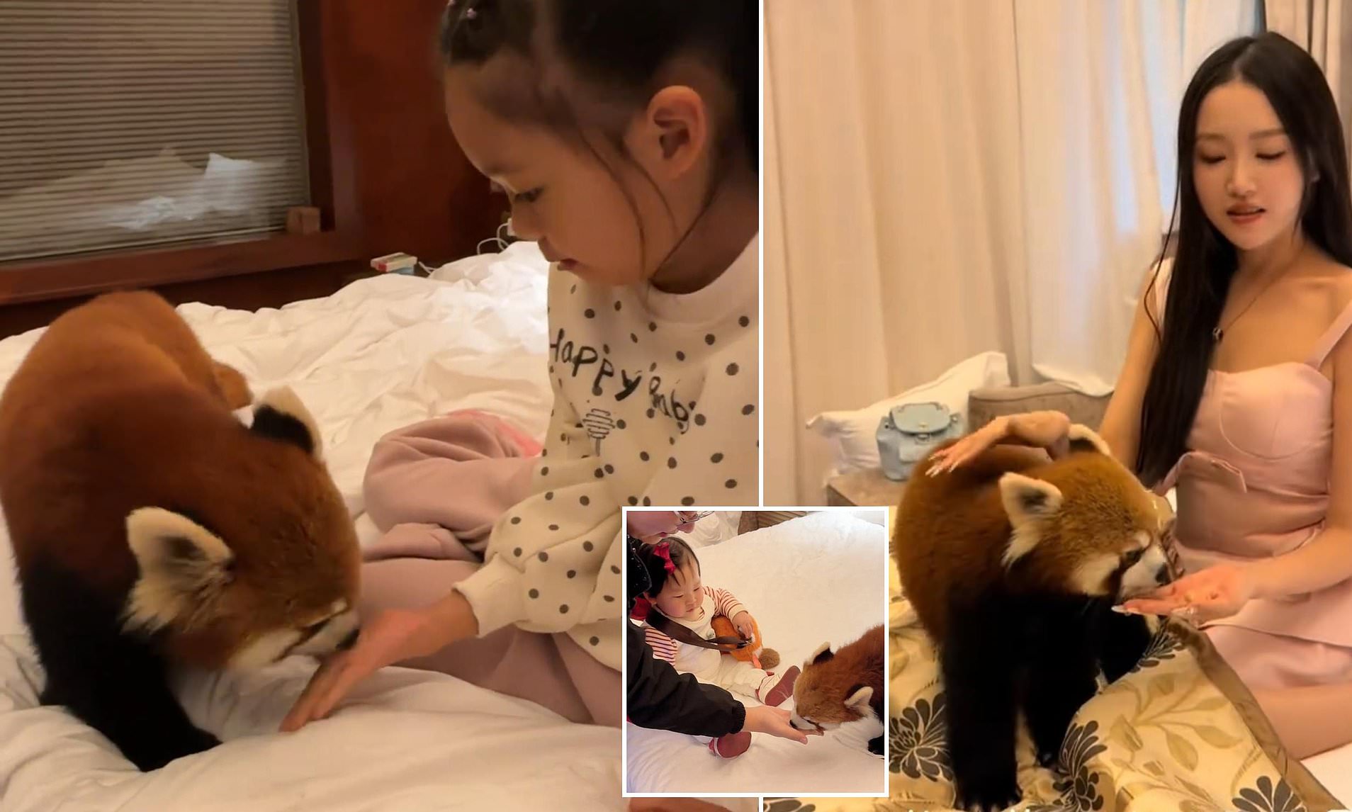 Hotel which uses a PANDA to wake up guests is rapped
