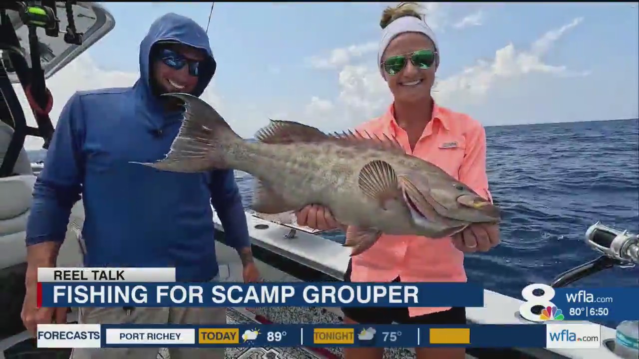 Reel Talk: Catching Scamp Grouper