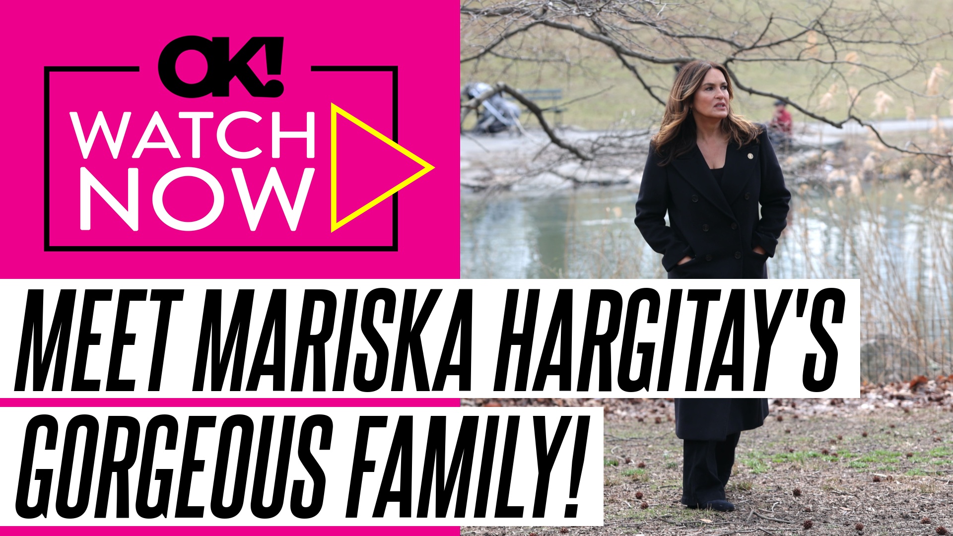 Inside Mariska Hargitay's Family: Meet Her Husband Peter Hermann and ...