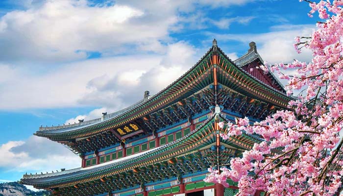 Travel Guide: 7 things to do in South Korea during your solo trip to ...