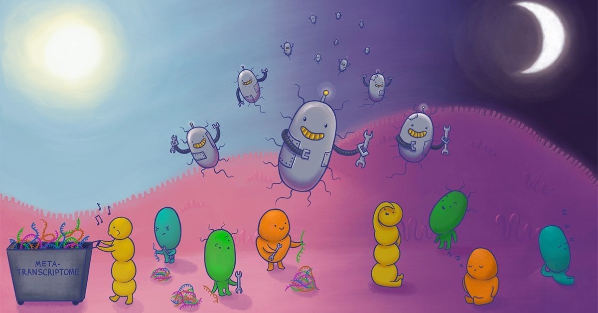 Study Reveals TRF's Role in Reshaping Gut Microbiome and Metabolism