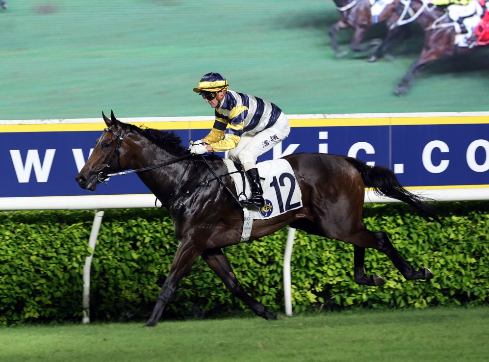 Hermod can Pack a punch and defy penalty at Sha Tin
