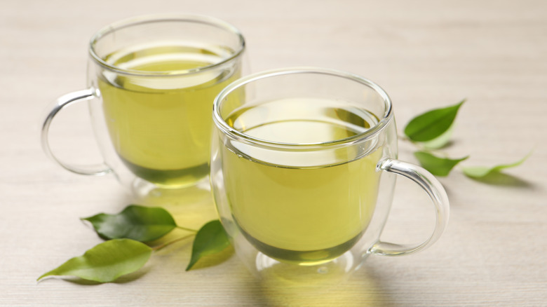 What Makes Sencha Green Tea Different From Matcha?
