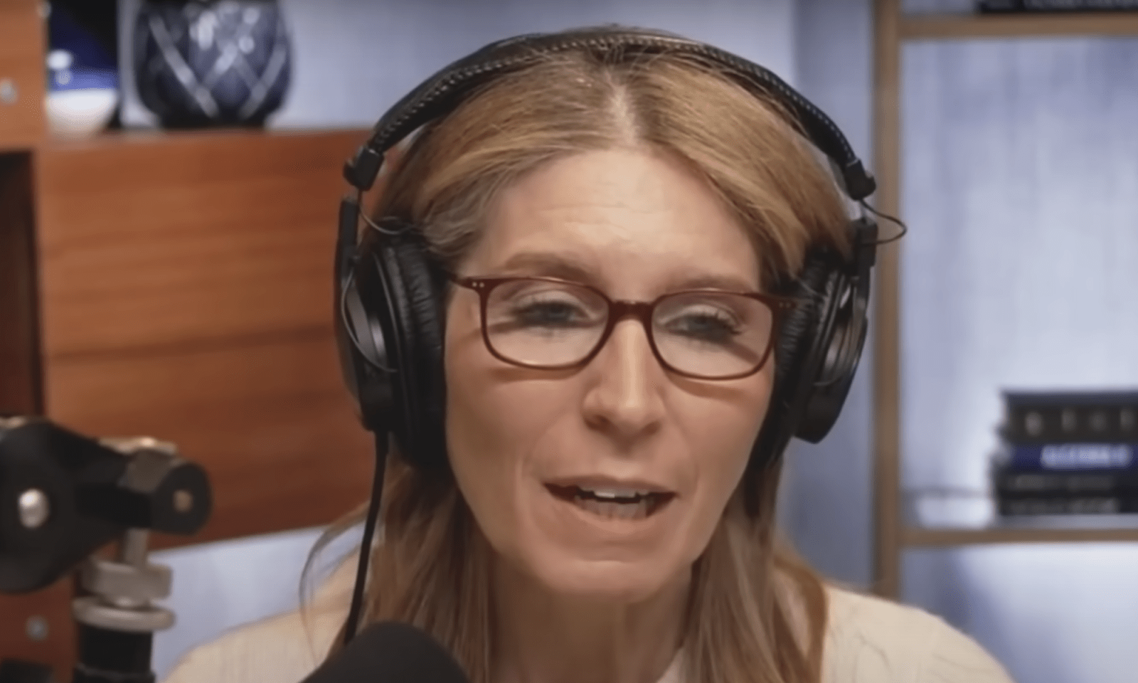 'She hates us': Nicolle Wallace calls out Megyn Kelly over her 'really ...
