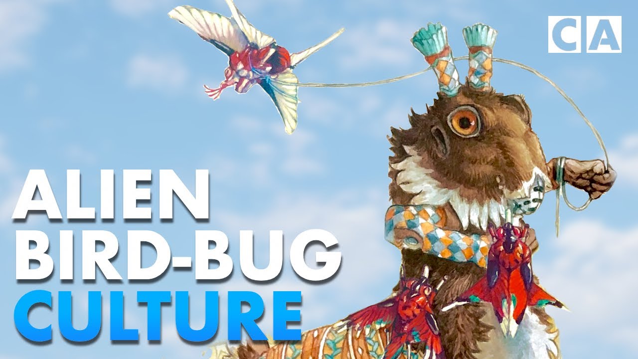 Birdbugs explained: Evolution in an imagined world