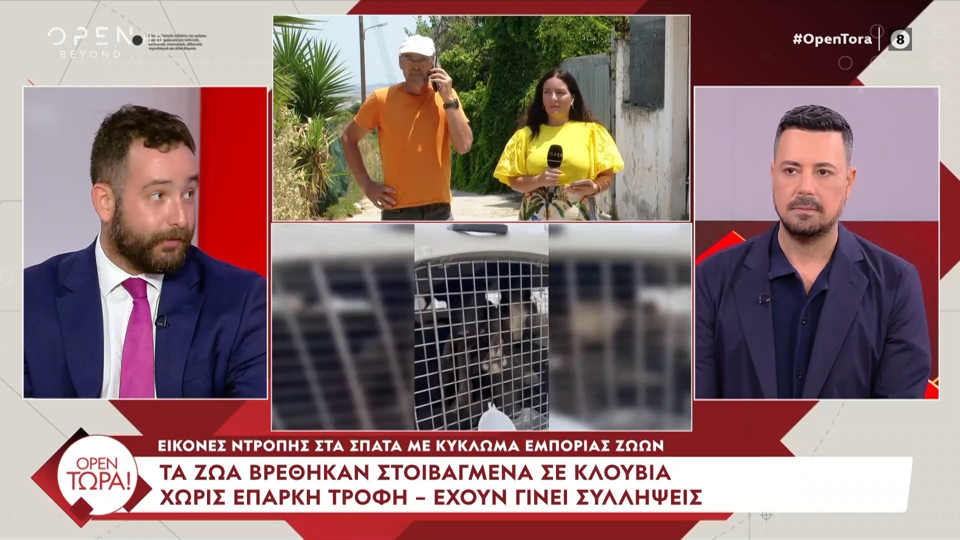 Εικόνες ντροπής στα Σπάτα με κύκλωμα εμπορίας ζώων - Ζώα βρέθηκαν ...