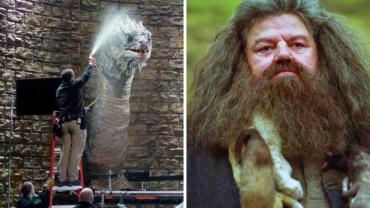 30 Fun Facts That Make Harry Potter Even Better
