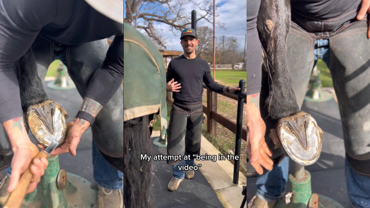 This Is The Reason They Book Farriers Like Him