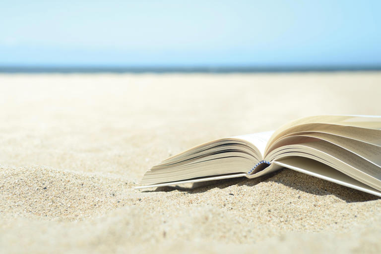 Make one of these 10 books that are set in New Jersey your next beach ...
