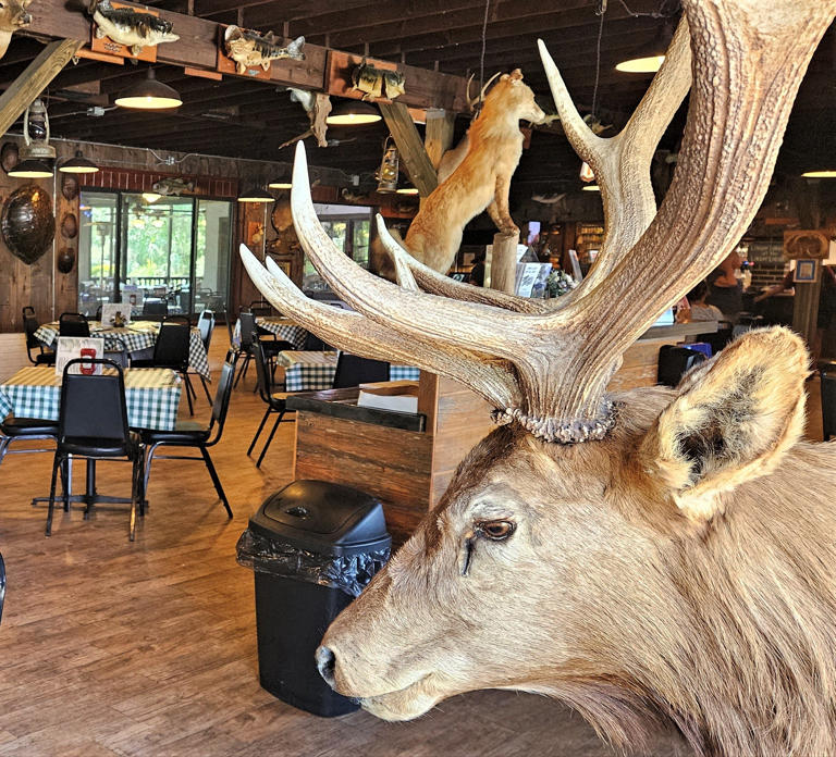 Two old Florida restaurants in Naples, Fort Myers area make statewide ...