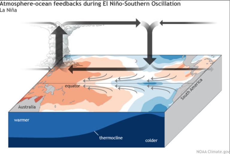 Will it be cold in South Carolina this winter? Here's how La Niña could ...