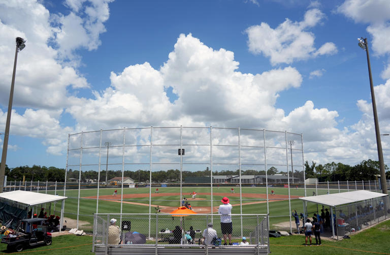 For many baseball players, the road to the major leagues starts with ...