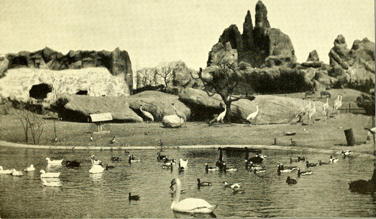 The Man Who Invented the Modern Zoo Tested Out His Ideas on People First